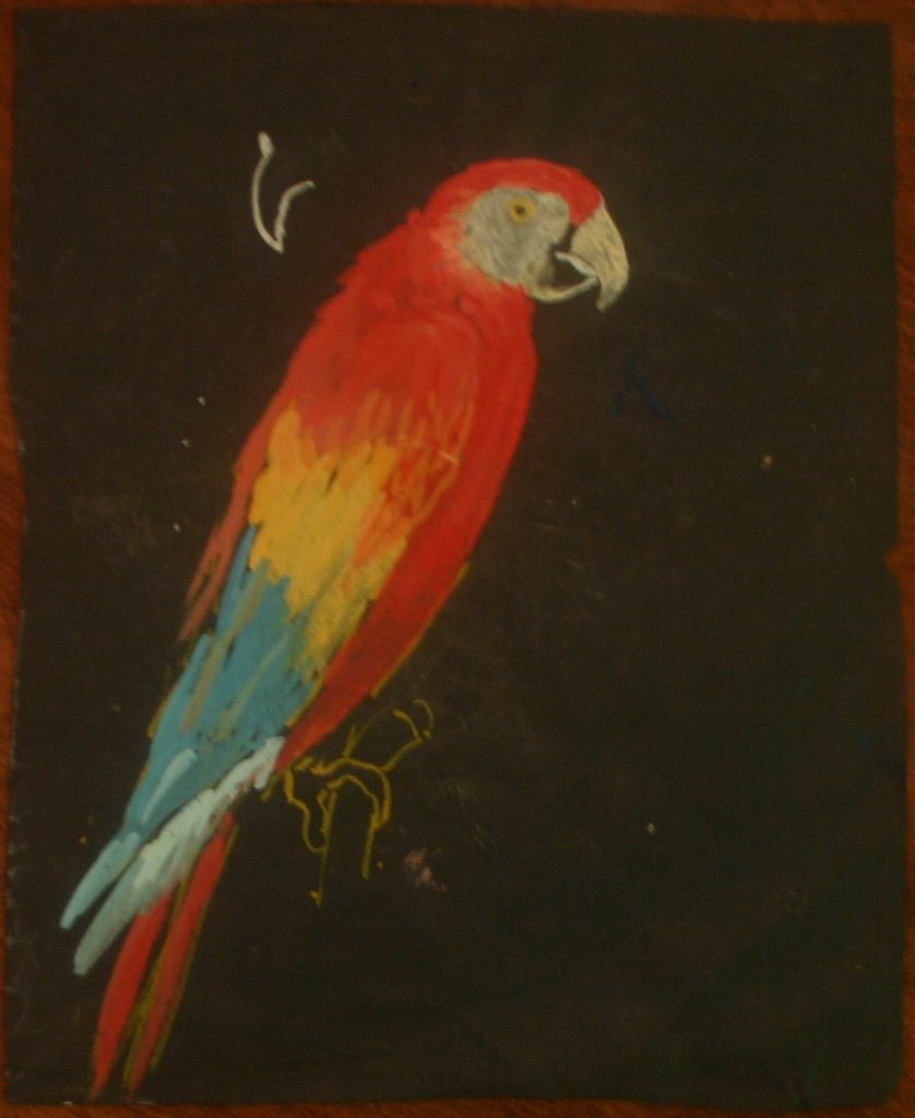 Fanny Stevenson - Robert Louis Stevenson Museum